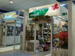 Цветочный остров (ulitsa Melnikayte No:126к2), çiçekçiler  Tiumen'den
