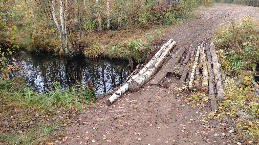 Turistik yerler Место Падения. Самолета. Ил-2, Saint‑Petersburg ve Leningradskaya oblastı, foto