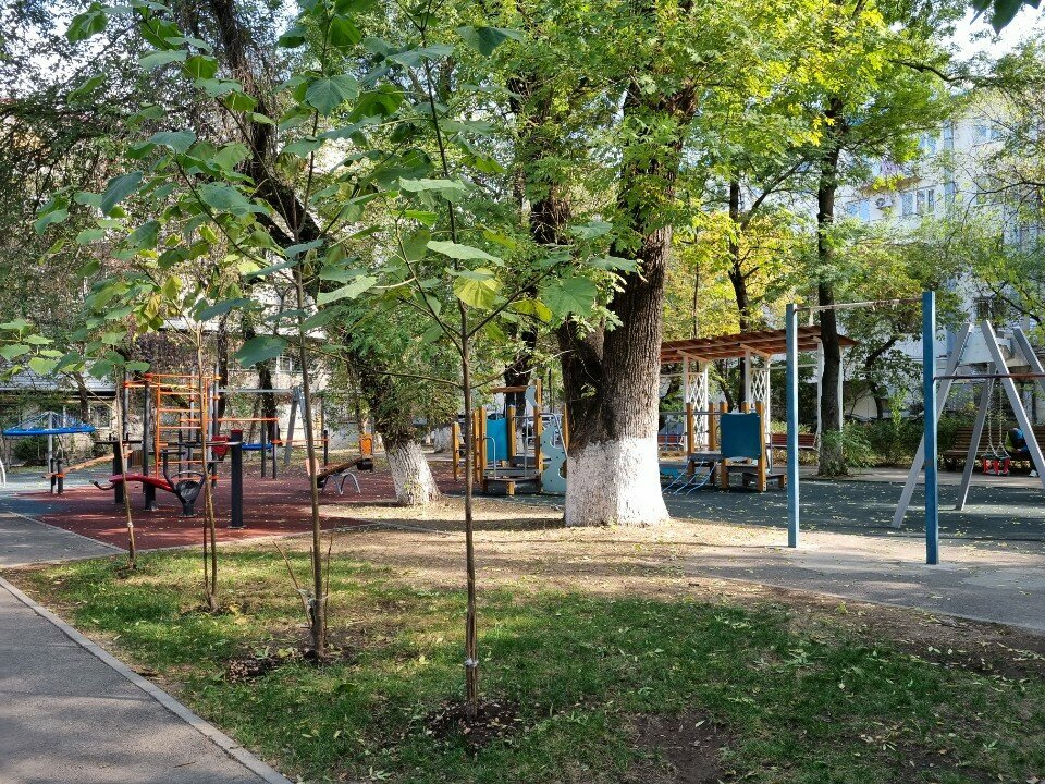 Oyun alanı Playground, Almatı, foto
