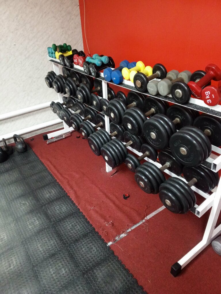 Spor ve jimnastik salonları Стимул, Altayski krayı, foto