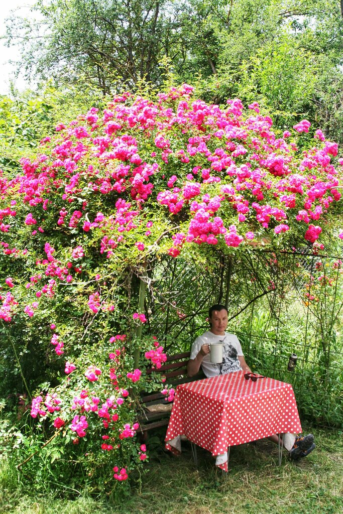 Parklar ve ormanlar Sioni Lake, , foto