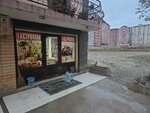 Гастроном Мурад (Hivskaya Street No:27В), market  Makhachkala'dan