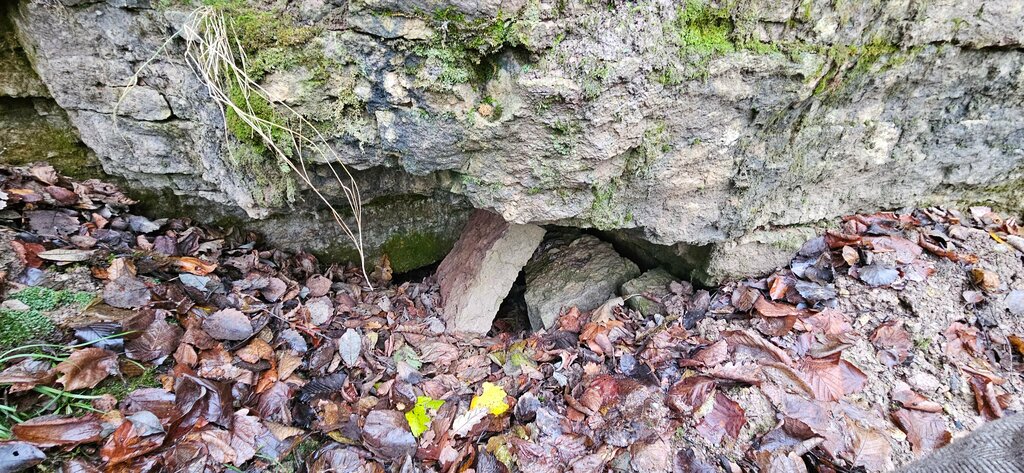 Turistik yerler Пещера Лисьи норы, Saint‑Petersburg ve Leningradskaya oblastı, foto