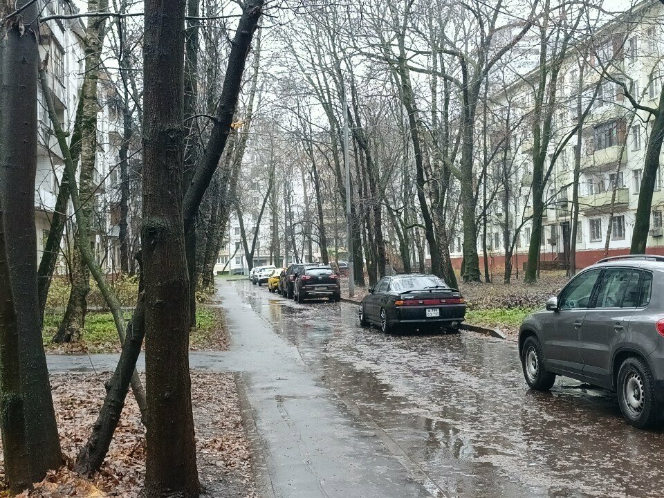 Uzman hizmetleri Репетитор иностранных языков Павленко Е. М., Moskova, foto