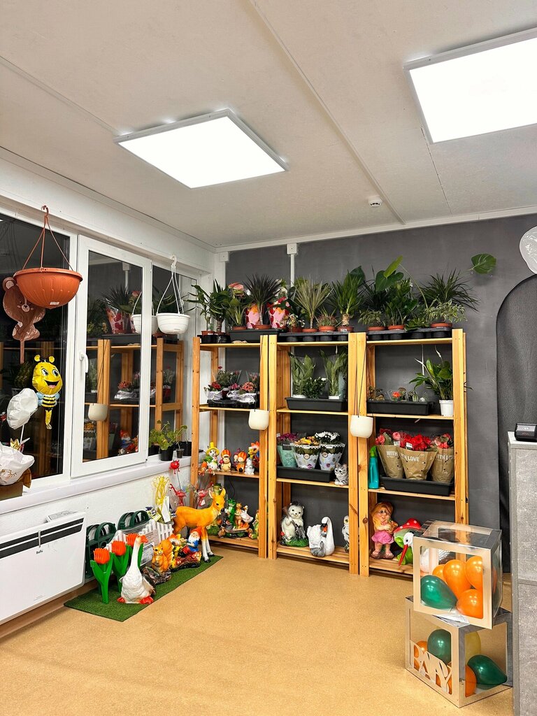 Çiçekçiler Ботаника, Komi, foto