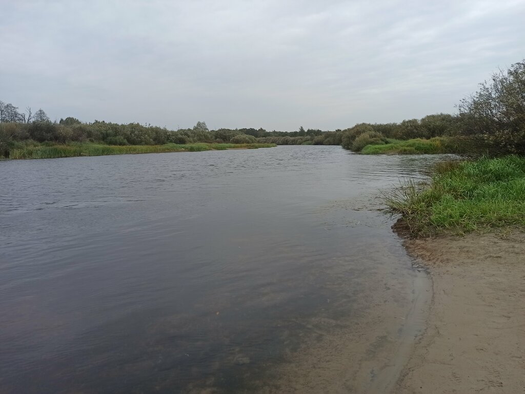 Plaj Пляж, Brianskaya oblastı, foto