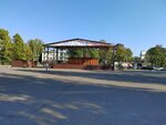 Сцена (Leningrad Region, Vsevolozhsk, Yubileynaya Square), konser salonları  Vsevolgsk'tan
