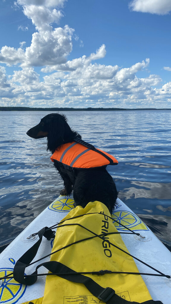 Plaj Пляж, Tverskaya oblastı, foto