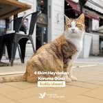 Yaşam Veteriner Kliniği (Denizli, Pamukkale, Lise - 1 Cad., 17A), veteriner klinikleri  Denizli'den