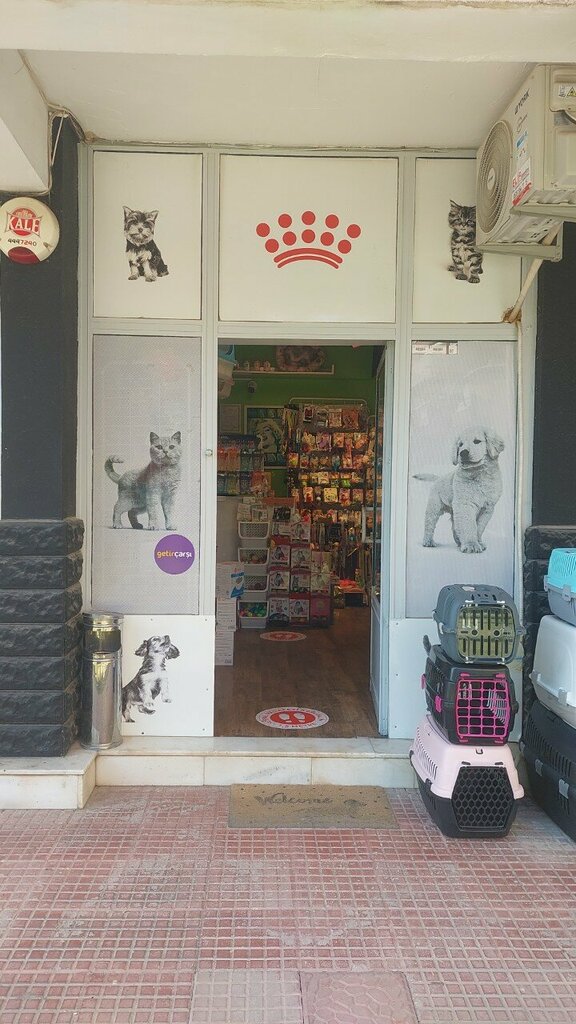 Petshop Yağız Pet Club, Bursa, foto