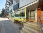 Adana mantar dünyası (Toros Mah., Ali Sepici Blv., No:39A, Çukurova, Adana), sera ve bahçe ürünleri  Adana'dan