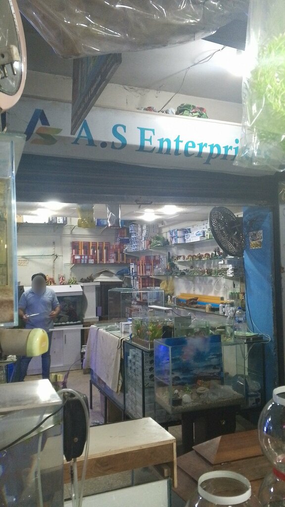 Balık ve deniz ürünleri A S enterprise, Karaçi, foto