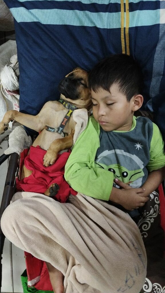 Çocuk besinleri, bebe mamaları Bebe Feliz, Santa‑Krus, foto