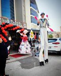 Egem Organizasyon (Aydın, Söke, Konak Mah., Karaoğlu Sok., 4), etkinlik organizasyonu  Söke'den