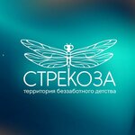 Стрекоза (Borisa Bogatkova Street No:191), kutlama ürünleri  Novosibirsk'ten
