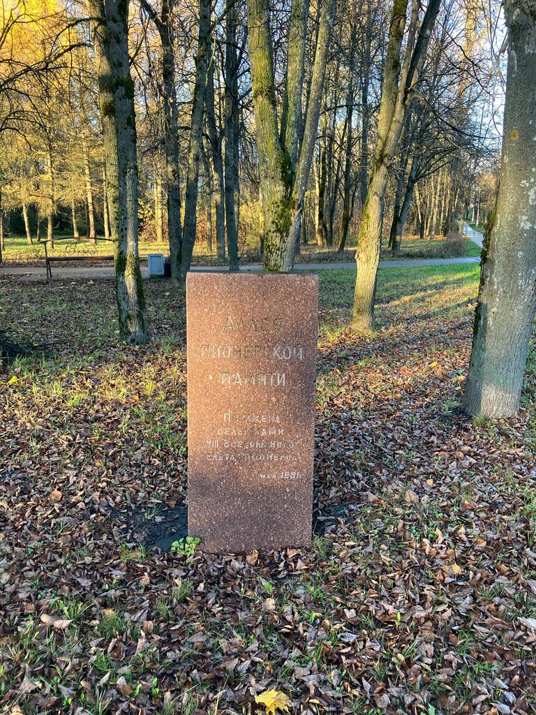 Anıt levhası, anıt taş Аллея пионерской памяти, Zelenograd, foto