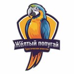 Желтый попугай (Fridrikha Engelsa Street No:64А), seyahat acenteleri  Voronej'den