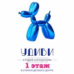 Udivi (prospekt Mira No:15Е), tasarım stüdyoları  Orsk'tan