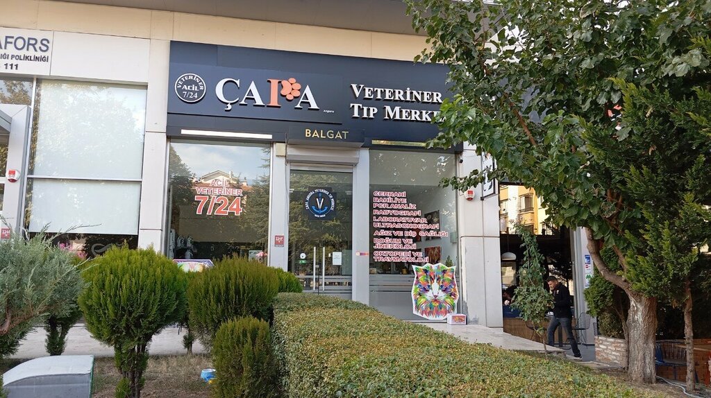 Veteriner klinikleri Çapa Veteriner, Ankara, foto