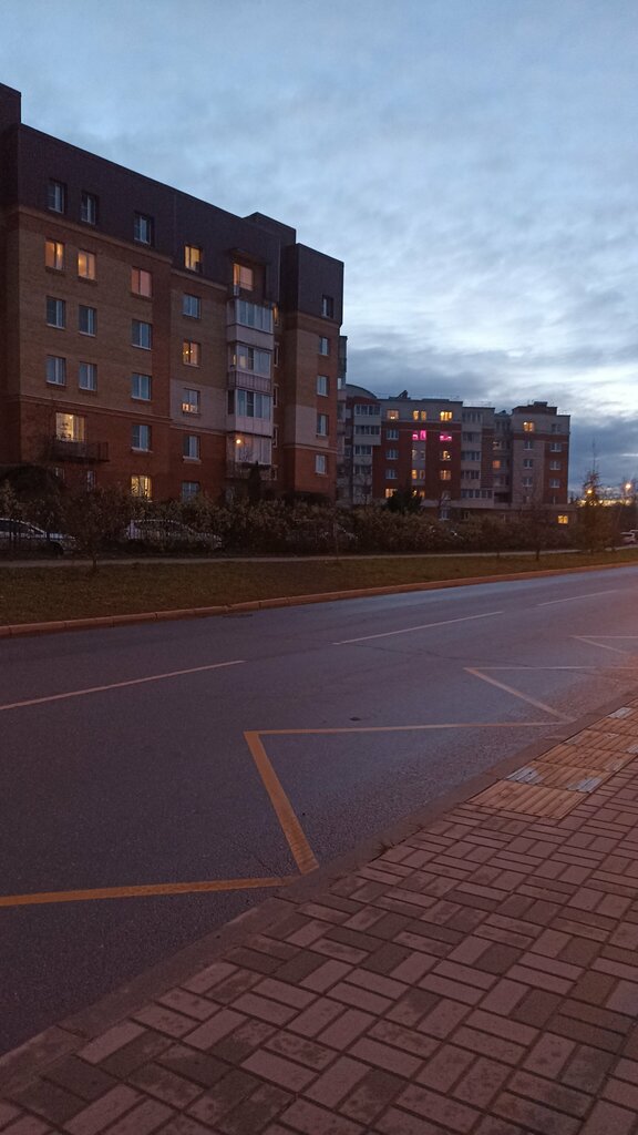 Toplu taşıma durağı Кедринская улица, 6, Puşkin, foto