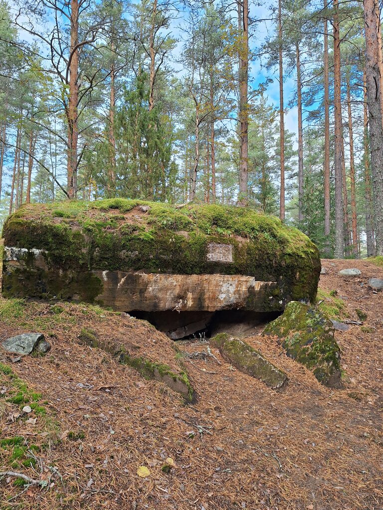 Turistik yerler ДОТ Hu-2 линии Маннергейма, Saint‑Petersburg ve Leningradskaya oblastı, foto