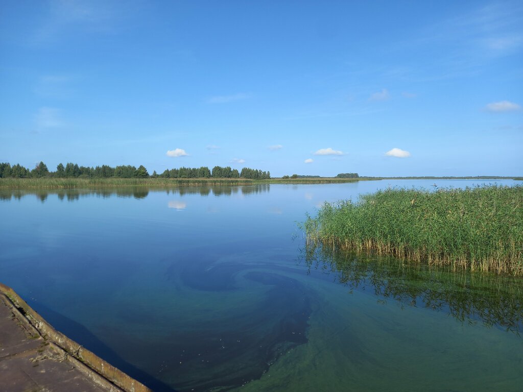 i̇skele Jetty , Pskovskaya oblastı, foto