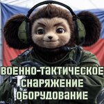 Cheburussia (Pluschikha Street No:9с2), askeri malzemeler  Moskova'dan