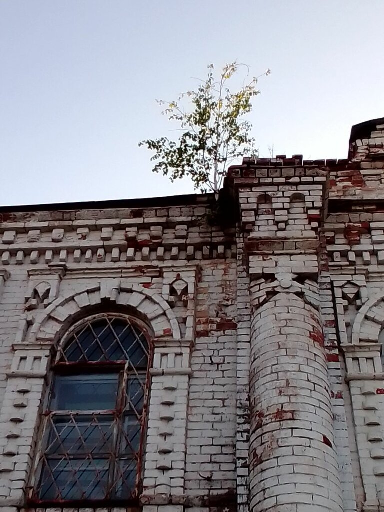 Koruma altına alınmış yapı Дом А.Д. Васенева, Biysk, foto