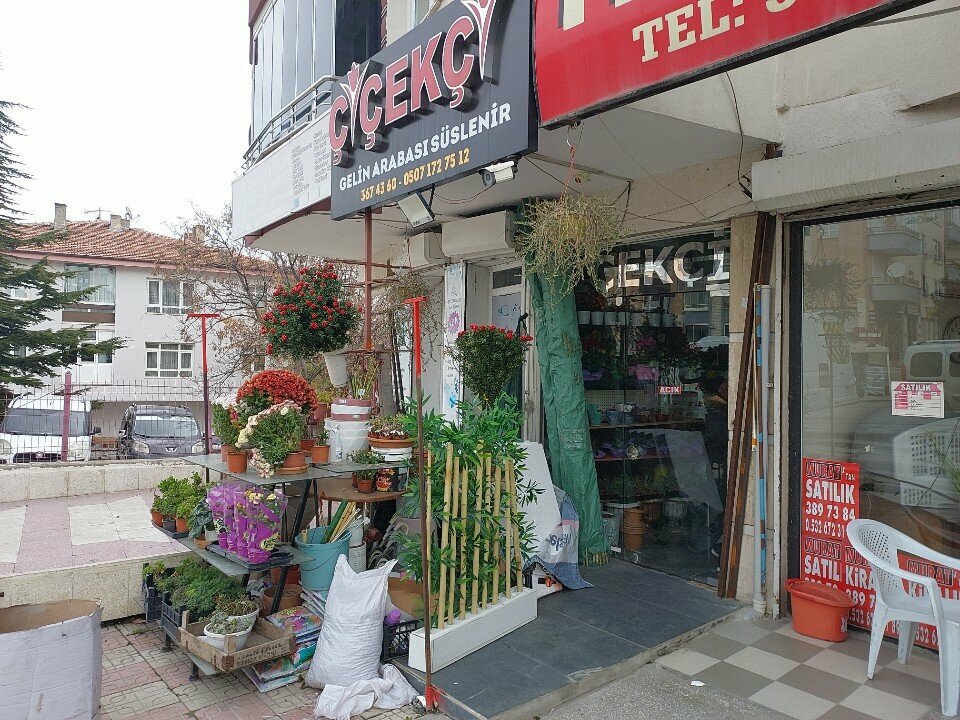 Çiçekçiler AS Flora, Ankara, foto