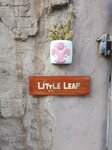 Little Leaf (7 Road No:NA5, Satellite Town, Block D1), anaokulları  Rawalpindi'den