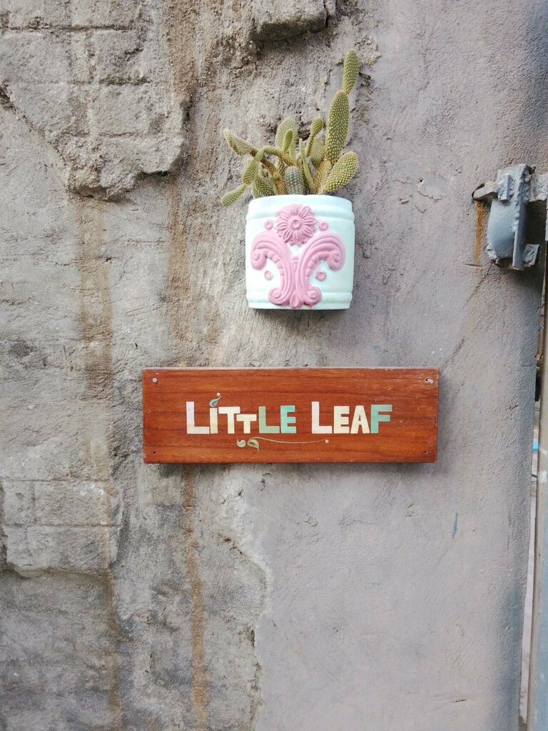 Anaokulları Little Leaf, Rawalpindi, foto