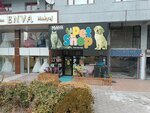 Maya Petshop (Ankara, Sincan, Mareşal Çakmak Mah., Sıra Sok., 3A), petshop  Ankara'dan