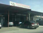 Cesurlar Oto Elektrik (Tokat, Tokat Merkez, Yeniyurt Mah., Gürkan Özbek Caddesi 1. Sok., 9), oto elektrik tamiri  Tokat'tan