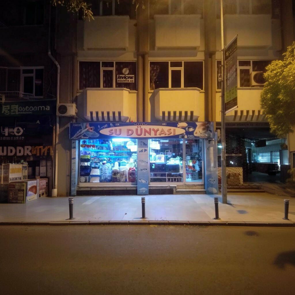 Petshop Su Dünyası Pet Shop, Altınordu, foto