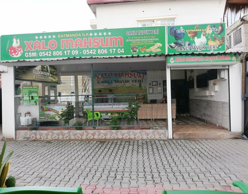 Market Xalo Mahsum Canlı Tavuk Yeri, Batman, foto