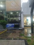 Organo Cedis Santa Cruz (Santa Cruz de la Sierra, Distrito Municipal 11, Avenida Irala, 423), yönetim ofisi  Bolivya'dan