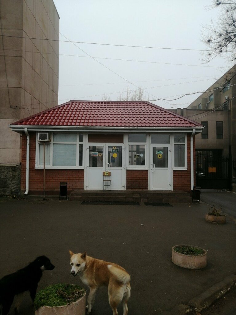 Çok amaçlı spor tesisleri СК КГУ им. Б.Б. Городовикова, Elista, foto