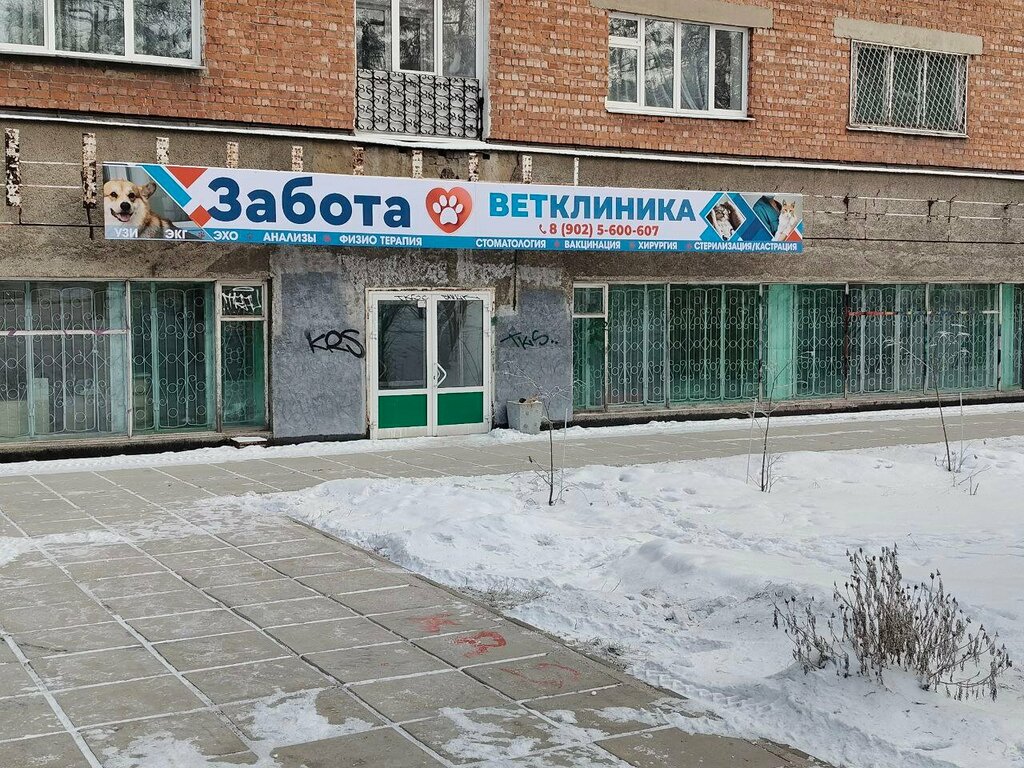 Veteriner klinikleri Забота, Irkutsk, foto