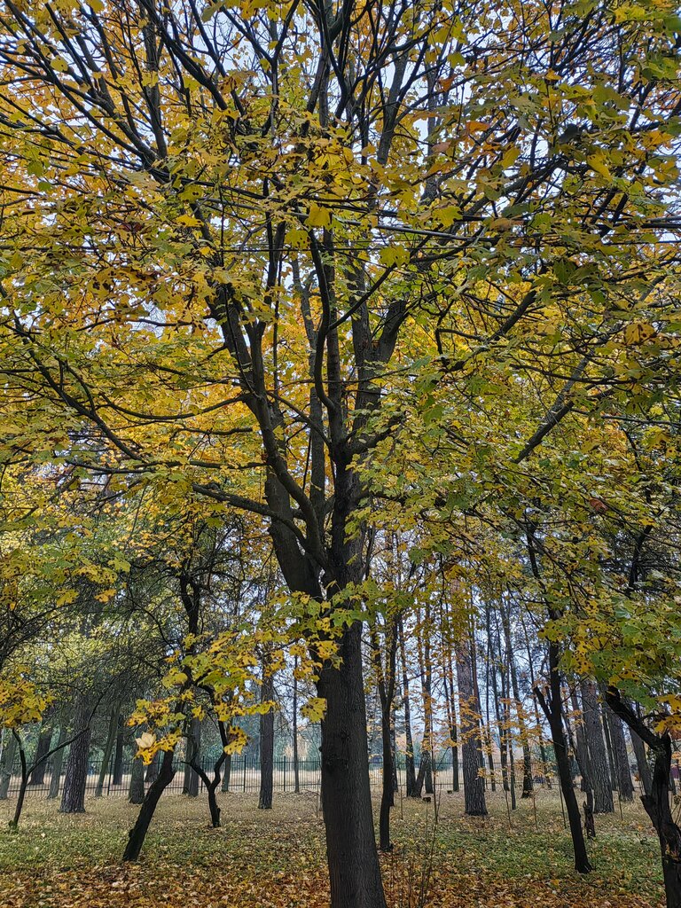 Termal otel Detsky sanatory, Oziory, foto