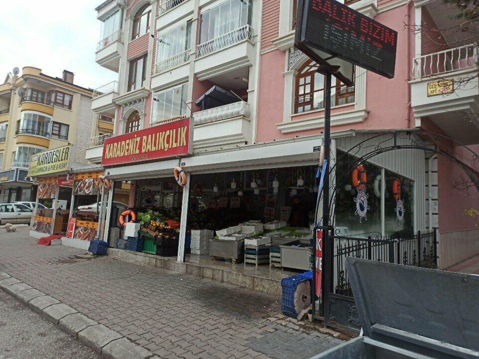 Balık ve deniz ürünleri Karadeniz Balıkçılık, Ankara, foto