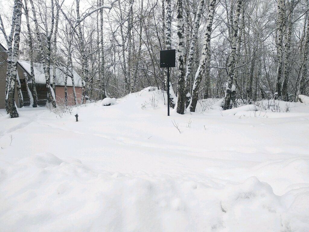 Spor alanı Баскетбольная площадка, Novosibirsk, foto