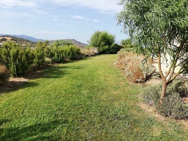 Peyzaj tasarımı Giardiniere Riccardo Forroia, Sardunya, foto
