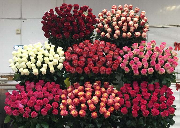 Çiçek pazarı Цветочный рынок, Krasnodar, foto