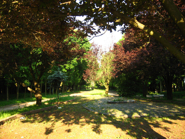 Kültür ve eğlence parkları Скниловский парк, Lviv, foto