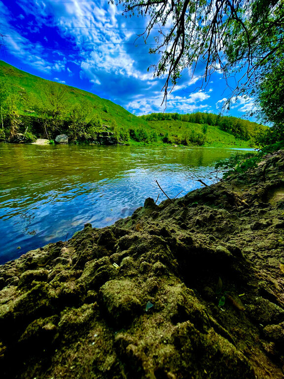 Orman Ведьмина роща, Lipetskaya oblastı, foto