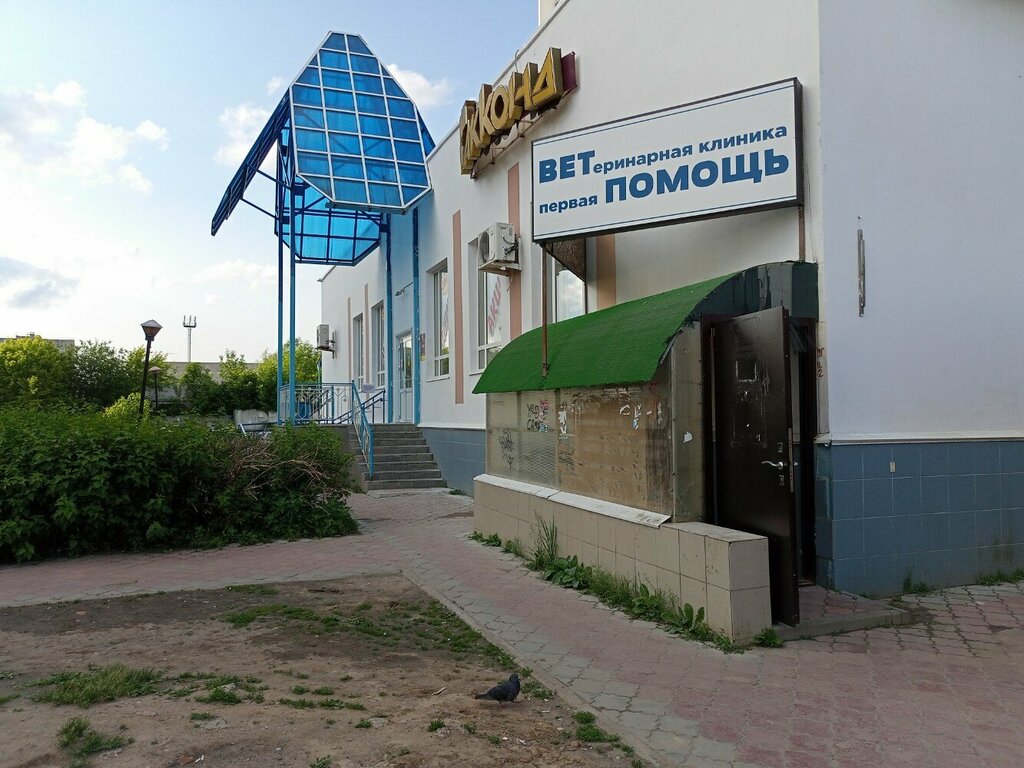 Veteriner klinikleri Первая помощь, Cheboksary, foto
