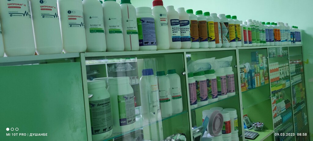 Veteriner eczaneleri Veterinary pharmacy in Dushanbe city, Duşanbe, foto