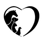 Animals_56 (Maxima Gorkogo Street No:41А), veteriner klinikleri  Orenburg'dan