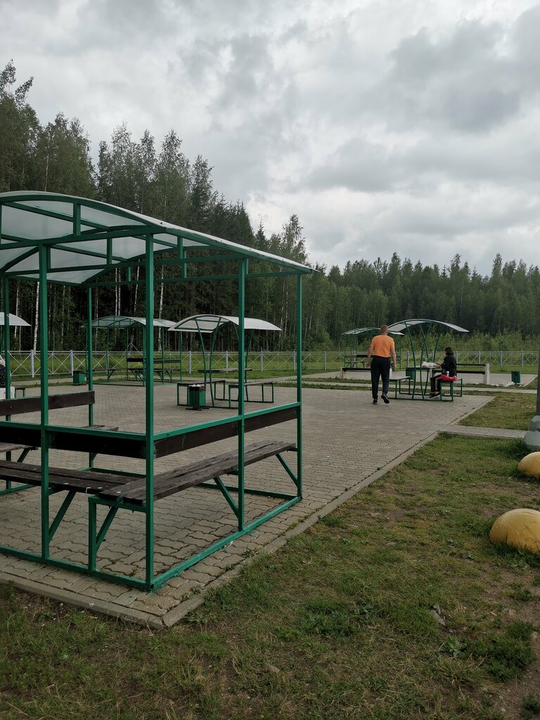 Yol kenarı dinlenme alanı Придорожная зона отдыха, Tverskaya oblastı, foto