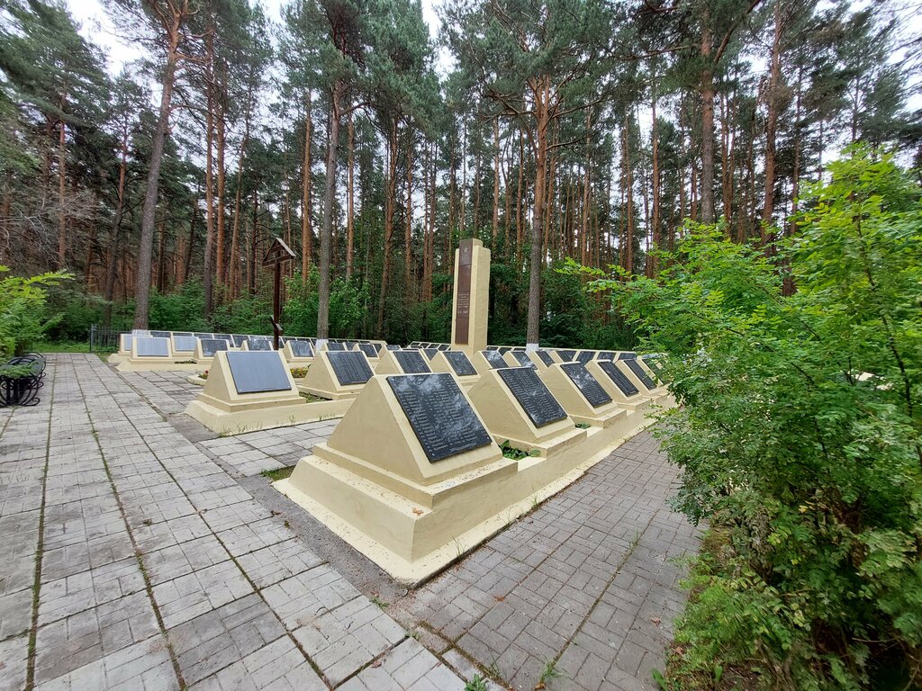 Park, sokak heykeli Бобачевский бор, Tver, foto